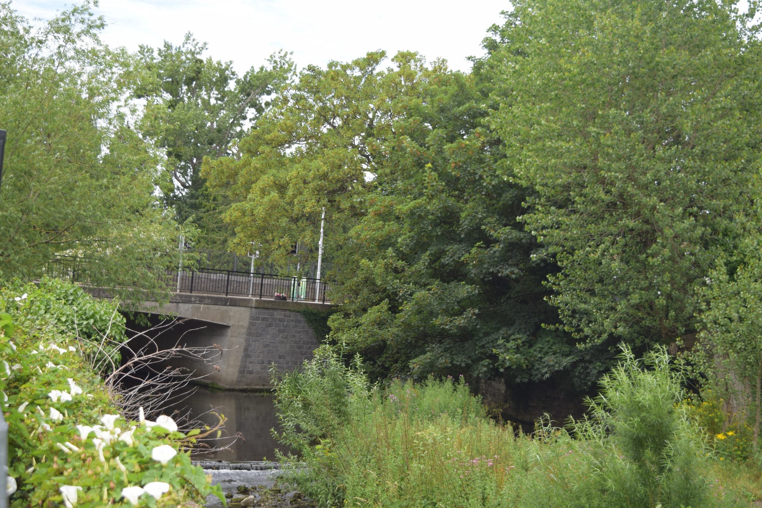 Tolka River, Glasnevin (Abhainn na Tulcha,Glasnaíon) – Dublin City Film ...