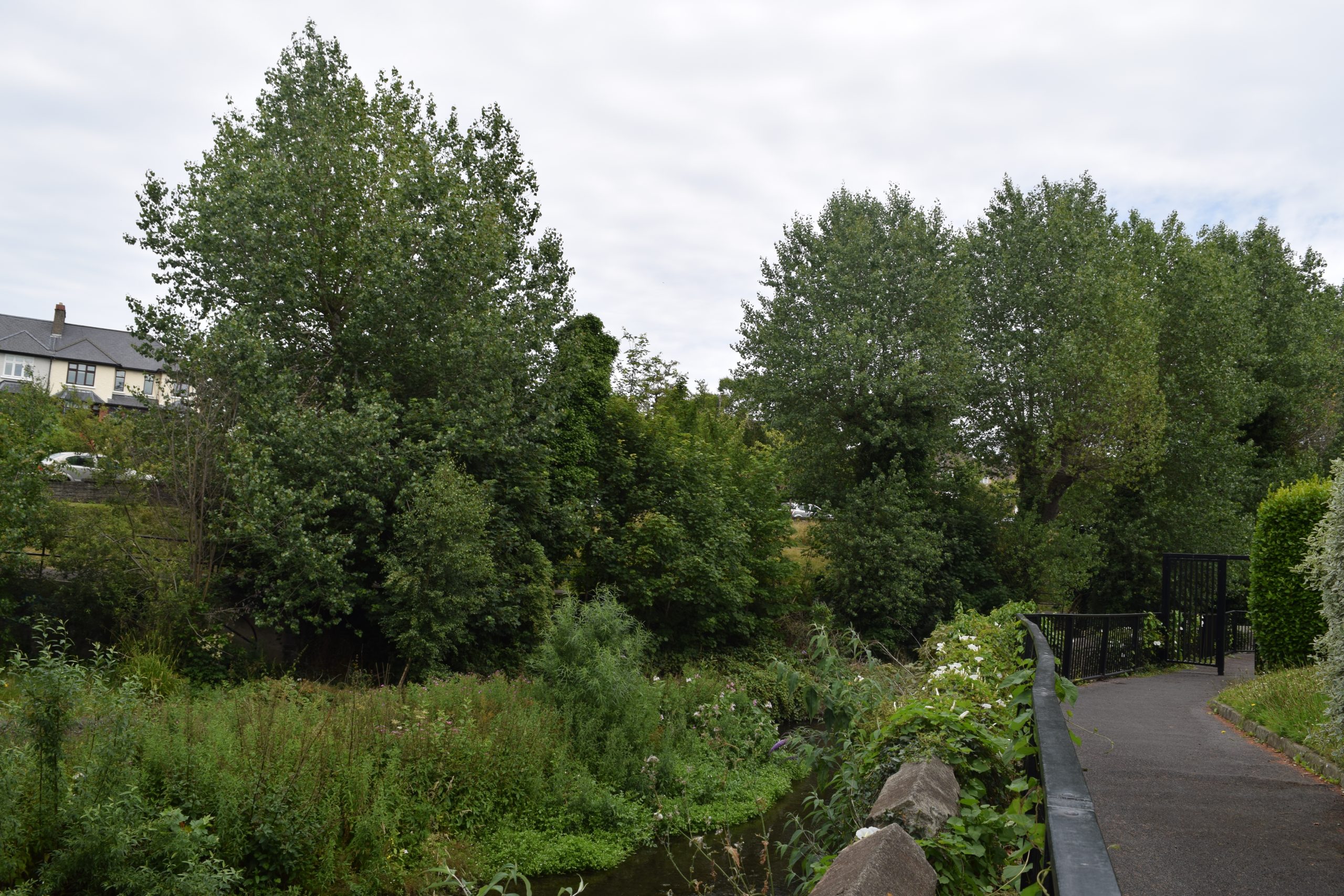 Tolka River, Glasnevin (Abhainn na Tulcha,Glasnaíon) – Dublin City Film ...