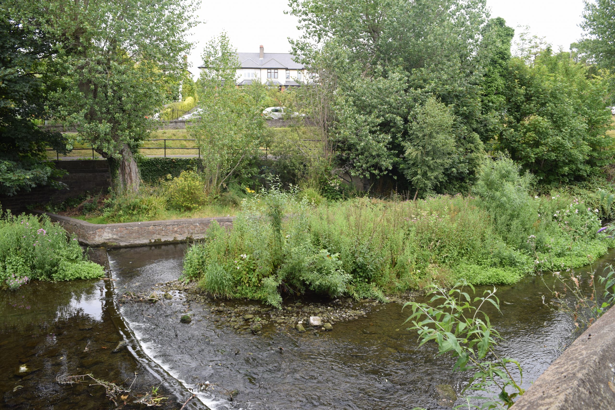 Tolka River, Glasnevin (Abhainn na Tulcha,Glasnaíon) – Dublin City Film ...