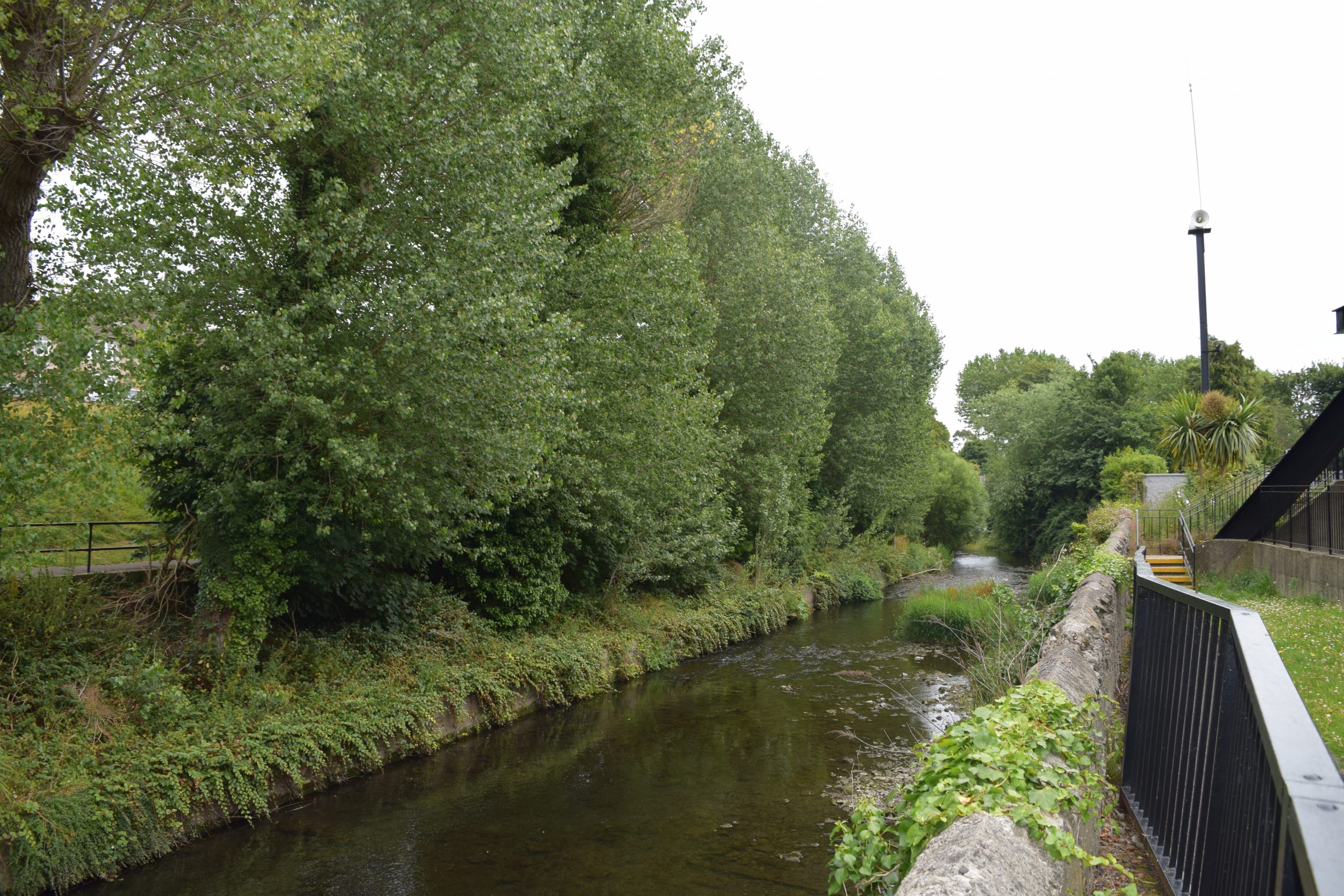 Tolka River, Glasnevin (Abhainn na Tulcha,Glasnaíon) – Dublin City Film ...