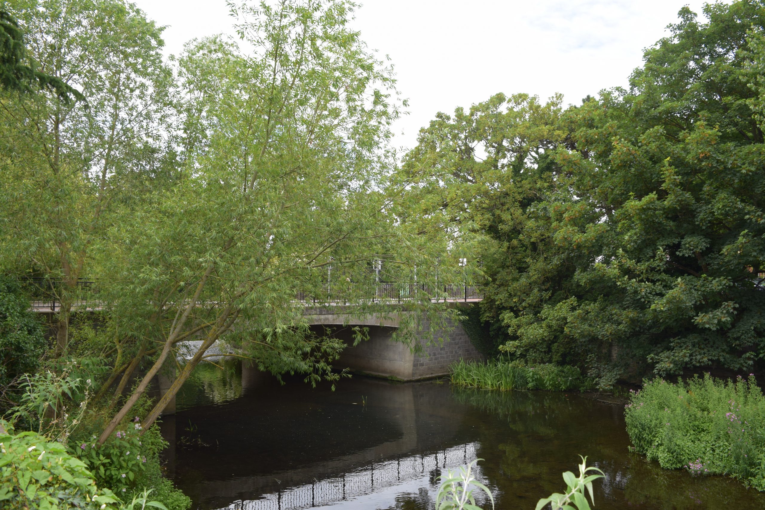 Tolka River, Glasnevin (Abhainn na Tulcha,Glasnaíon) – Dublin City Film ...