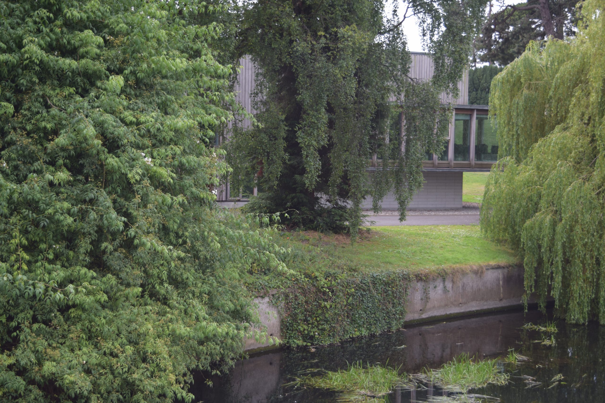 Tolka River, Glasnevin (Abhainn na Tulcha,Glasnaíon) – Dublin City Film ...