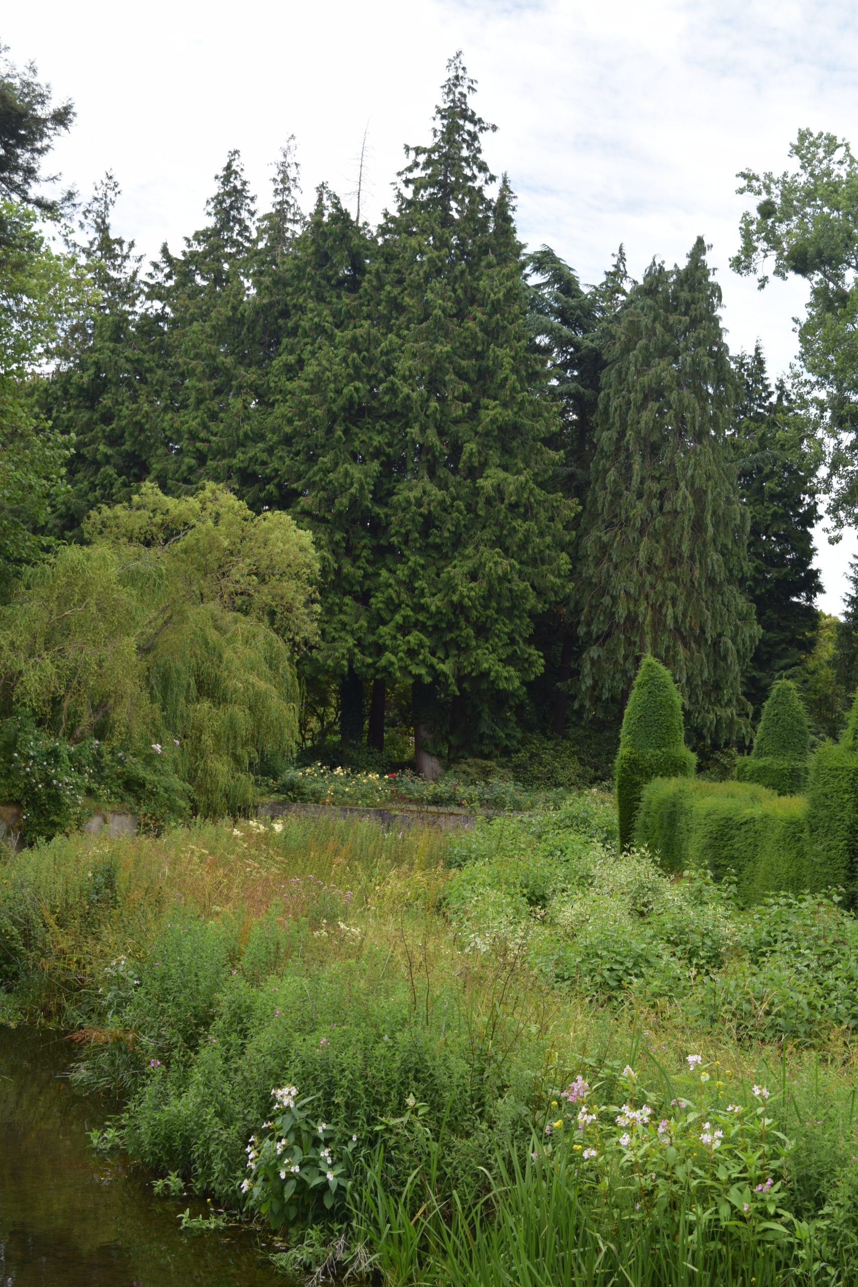 Tolka River, Glasnevin (Abhainn na Tulcha,Glasnaíon) – Dublin City Film ...