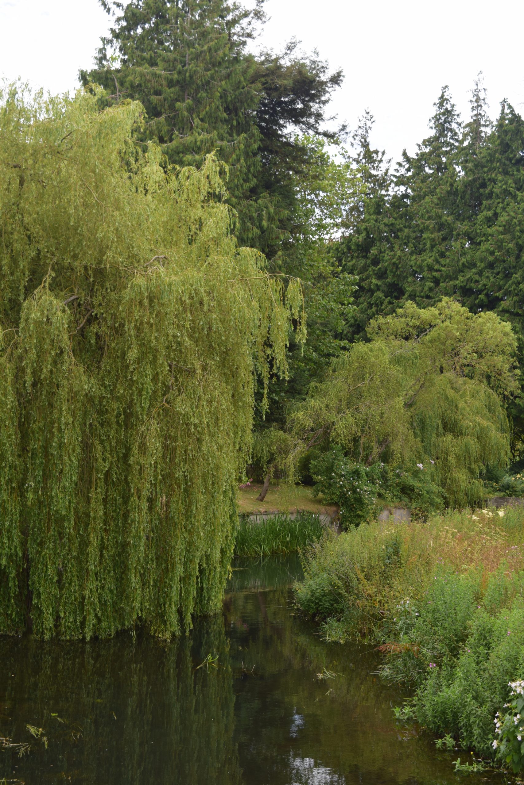 Tolka River, Glasnevin (Abhainn na Tulcha,Glasnaíon) – Dublin City Film ...